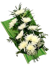 Tender bouquet of mums