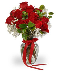 Order a bouquet of carnations 'My Queen' | Cyber Florist
