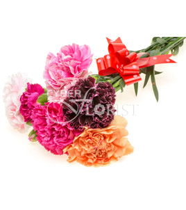 Flowers per piece 'Mixed Color Carnations' - delivery from $12.00 US ...